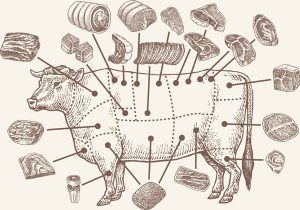 63 Acres Beef – Premium BC Beef